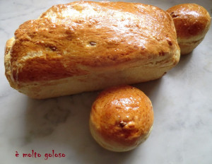 Brioche aux » grattons » de canard. – è molto goloso