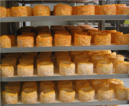 Le Langres AOC. – è molto goloso