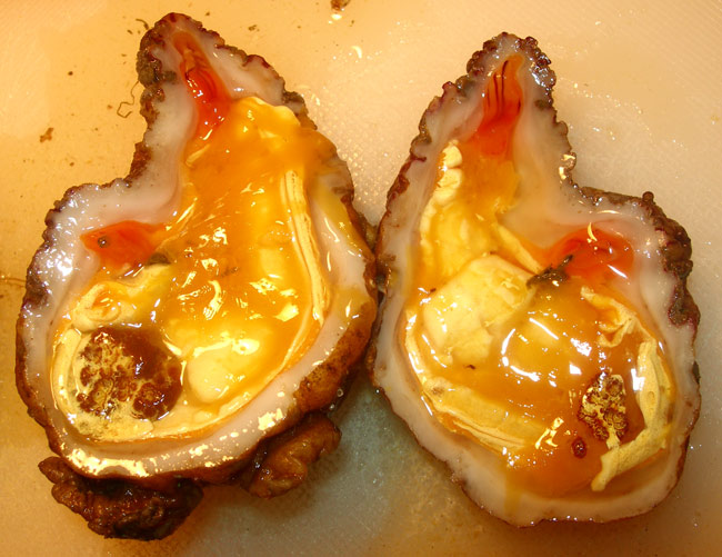 Biju coquillage – Figue de mer ou violet. – è molto goloso